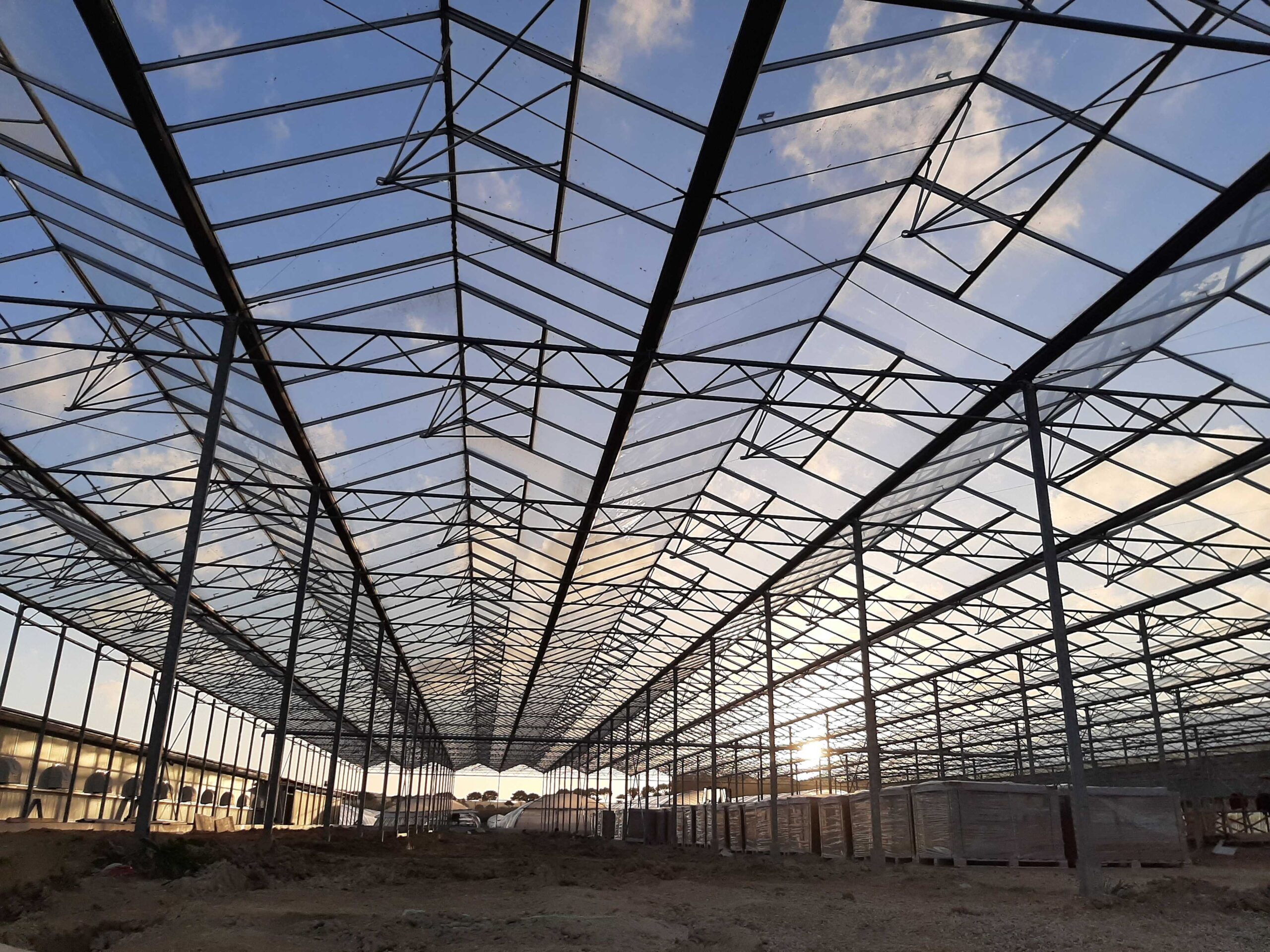 Japan Moerman & De Rijk - Agrikol South Africa